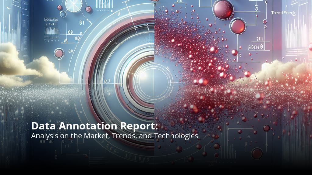 Data Annotation Report | TrendFeedr